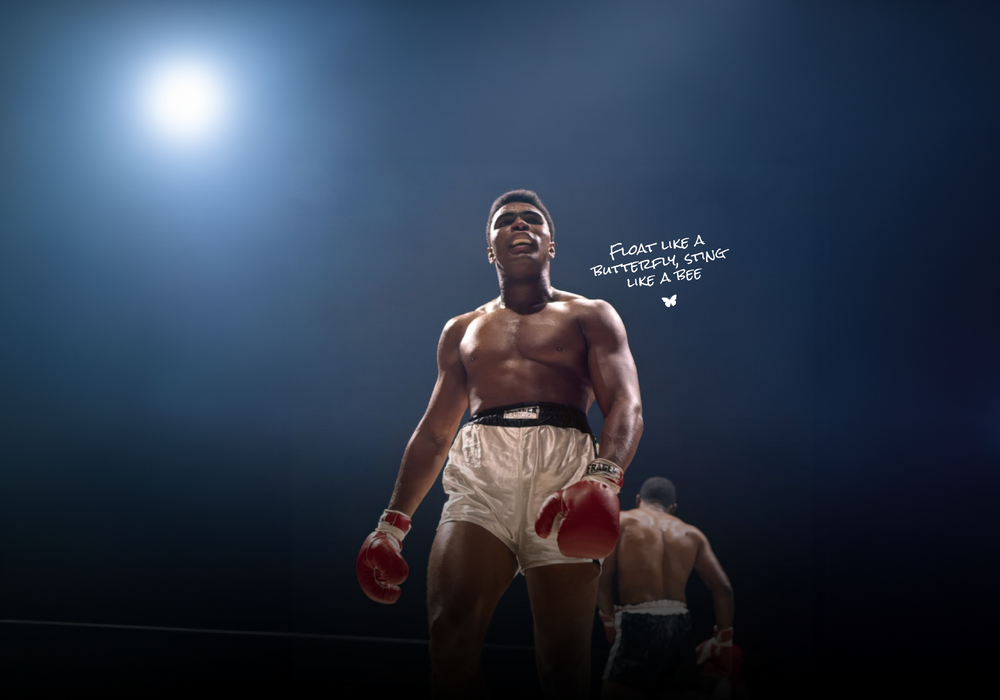 Legacy Boxing Sports Store